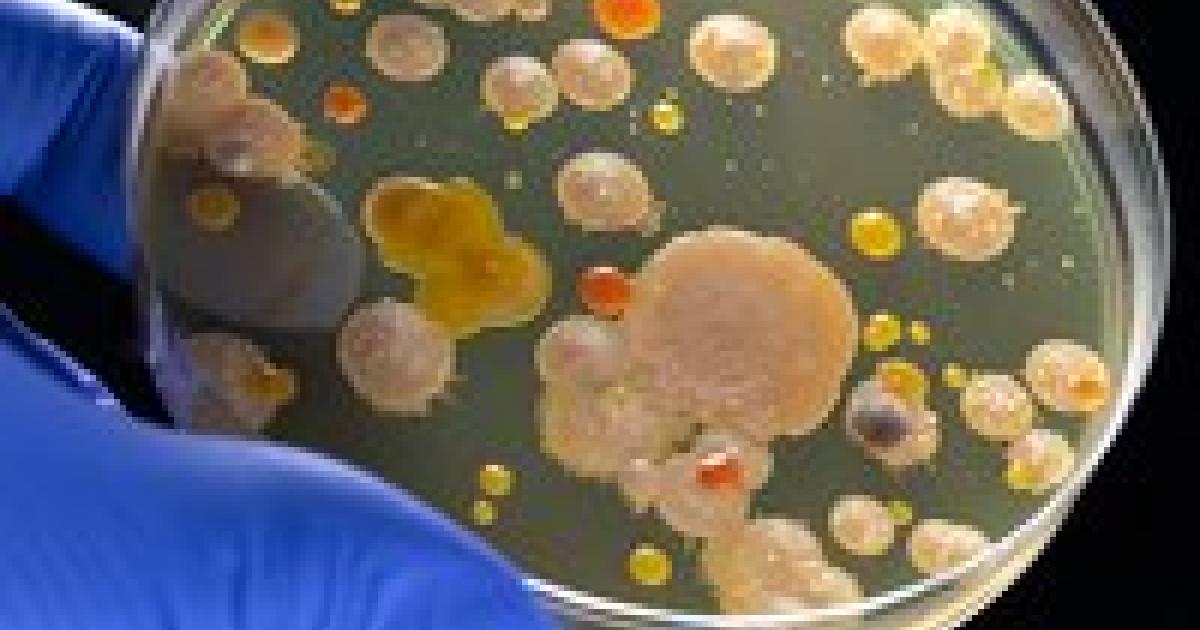 Vil resistente bakterier slå os ihjel? - Livestream på Broby Bibliotek ...